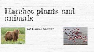 Untitled at emaze Presentation