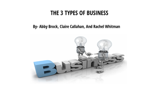 The 3 Types Of Business.pptx at emaze Presentation