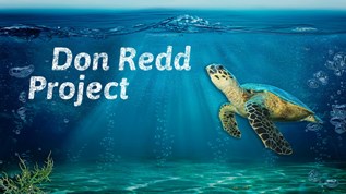 Don Redd Project at emaze Presentation