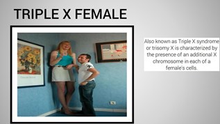 Triple X Female at emaze Presentation