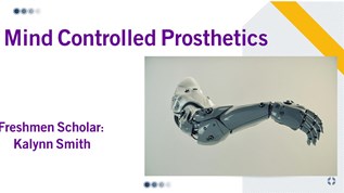 Untitled at emaze Presentation