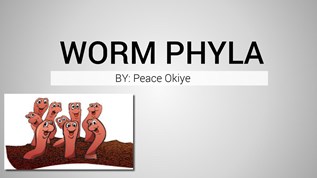 Worm Phyla at emaze Presentation