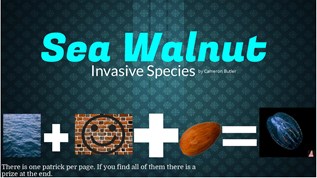 Sea Walnut Invasive Species Project at emaze Presentation
