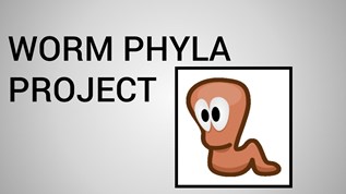 worm project at emaze Presentation