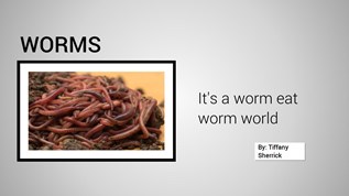 Worms at emaze Presentation