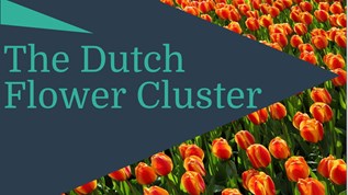 The Dutch Flower at emaze Presentation