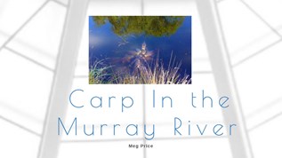 Carp In the Murray at emaze Presentation
