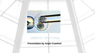 embryo splitting at emaze Presentation