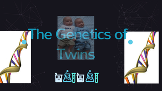 The Genetics of Twins at emaze Presentation