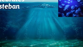 Esteban 3a at emaze Presentation