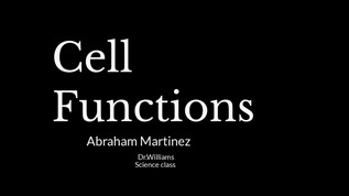 Cell Functions at emaze Presentation