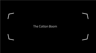 The Cotton Boom at emaze Presentation