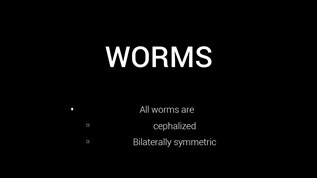 Worms at emaze Presentation