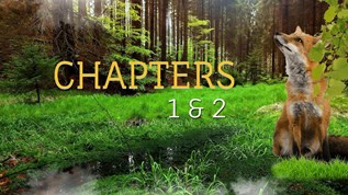 Chapters 1 & 2 at emaze Presentation