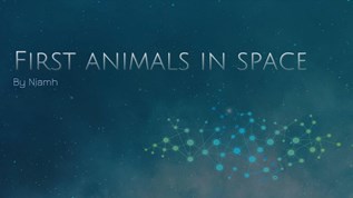 first animals in space at emaze Presentation