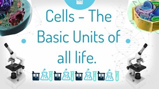 Cells - The Basic Units of all Life at emaze Presentation