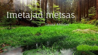 Imetajad metsas at emaze Presentation