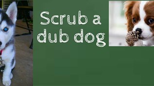 Scrub a dub dog at emaze Presentation