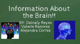 Information About The Brain at emaze Presentation