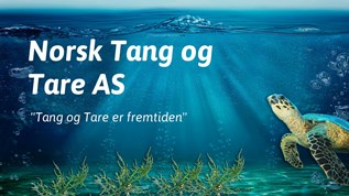 Norsk Tang og Tare AS on emaze