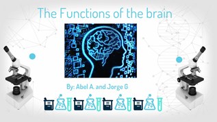The brain by: Abel and Jorge at emaze Presentation