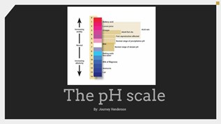 pH Scale at emaze Presentation