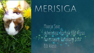 MERISIGA at emaze Presentation