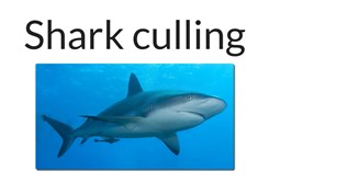 Shark culling at emaze Presentation