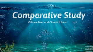 Comparative Study at emaze Presentation