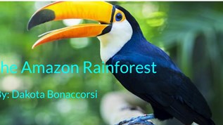 The Amazon Rainforest at emaze Presentation