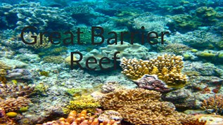 Great Barrierreef at emaze Presentation
