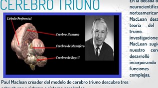 CEREBRO TRIUNO at emaze Presentation