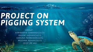 PROJECT ON PIGGING at emaze Presentation