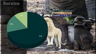 The Reality of Zoos copy1 at emaze Presentation