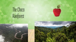 Choco Rainforest at emaze Presentation