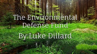 The Environmental Defense Fund at emaze Presentation