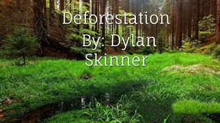 DeforestationBy:Dylan Skinner at emaze Presentation