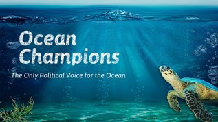 Ocean Champions at emaze Presentation