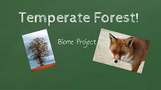 Temperate Forest! at emaze Presentation