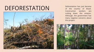 Deforestation at emaze Presentation