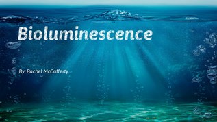 Untitled at emaze Presentation