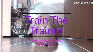 Training the trainer at emaze Presentation