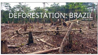 Deforestation Brazil at emaze Presentation