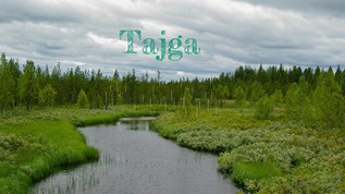 Tajga at emaze Presentation