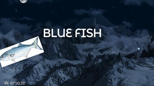 BLUE FISH!! at emaze Presentation