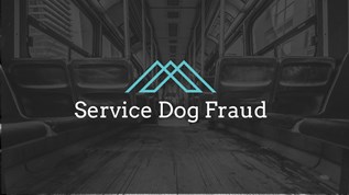 Service Dog Fraud at emaze Presentation