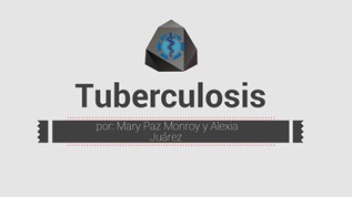 Tuberculosis at emaze Presentation
