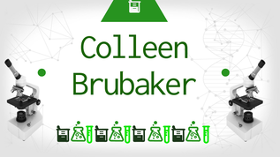 Wrongful Convictions at emaze Presentation