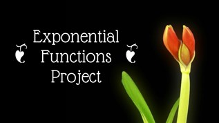 Exponential Growth Project at emaze Presentation