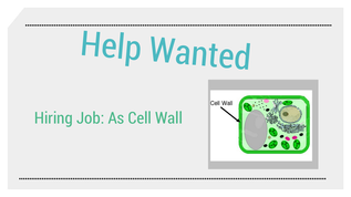 Wanted: Cell wall at emaze Presentation